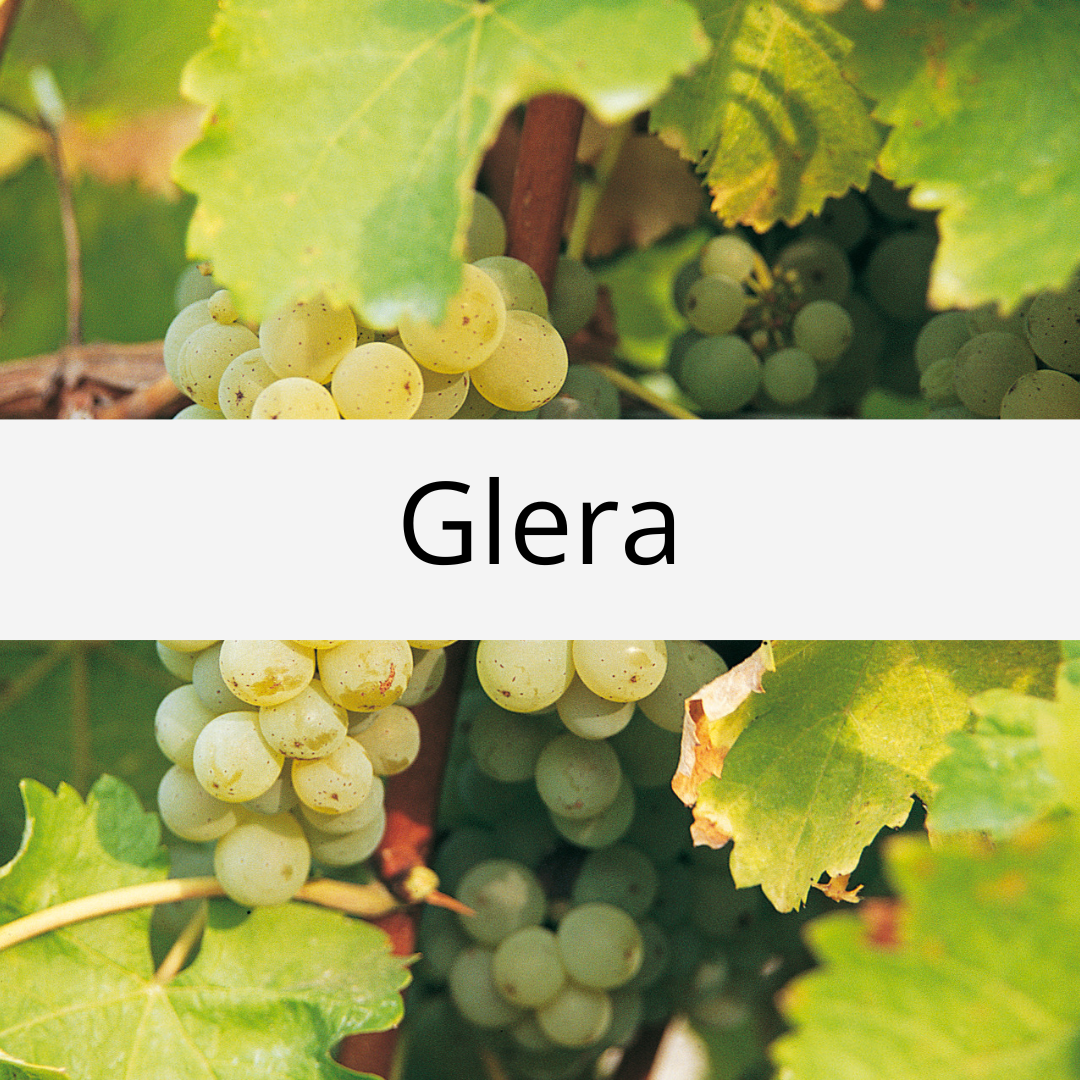 Glera – Better with Age