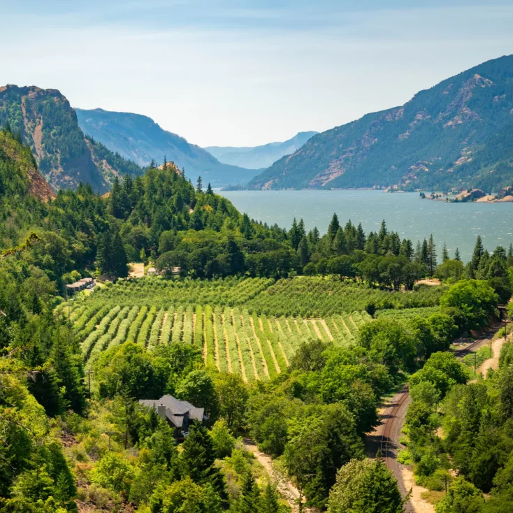 Oregon – Better with Age